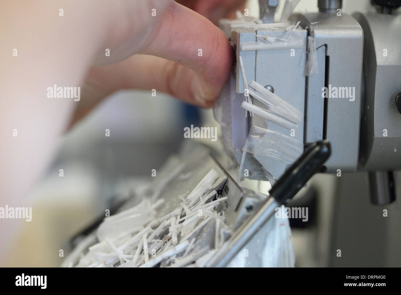typical work steps in a histology labor Stock Photo - Alamy