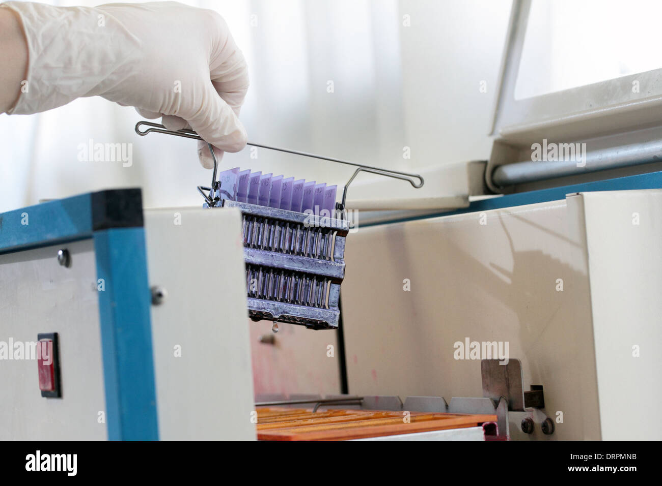 Histology slides hi-res stock photography and images - Alamy