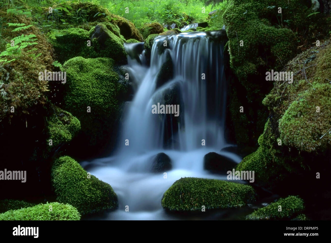 Beautiful landscape of flowing water Stock Photo - Alamy