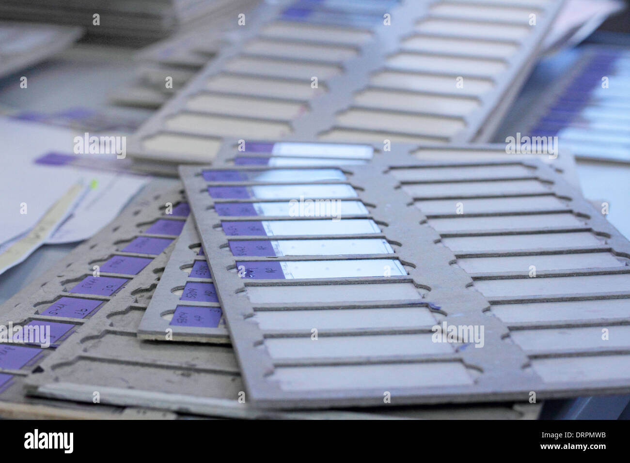 glass slides with histology samples in a histology labor Stock Photo ...