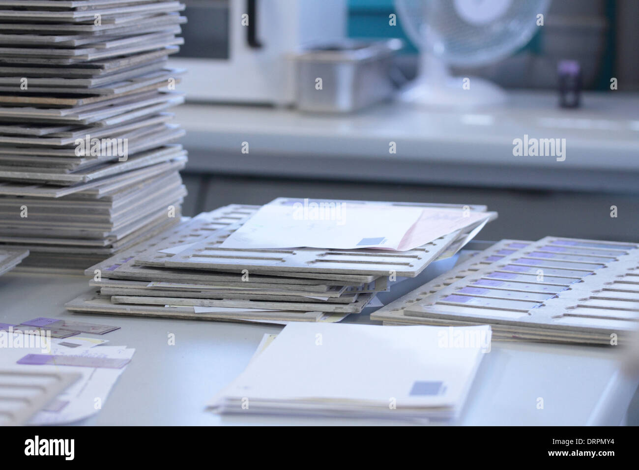 glass slides with histology samples in a histology labor Stock Photo ...