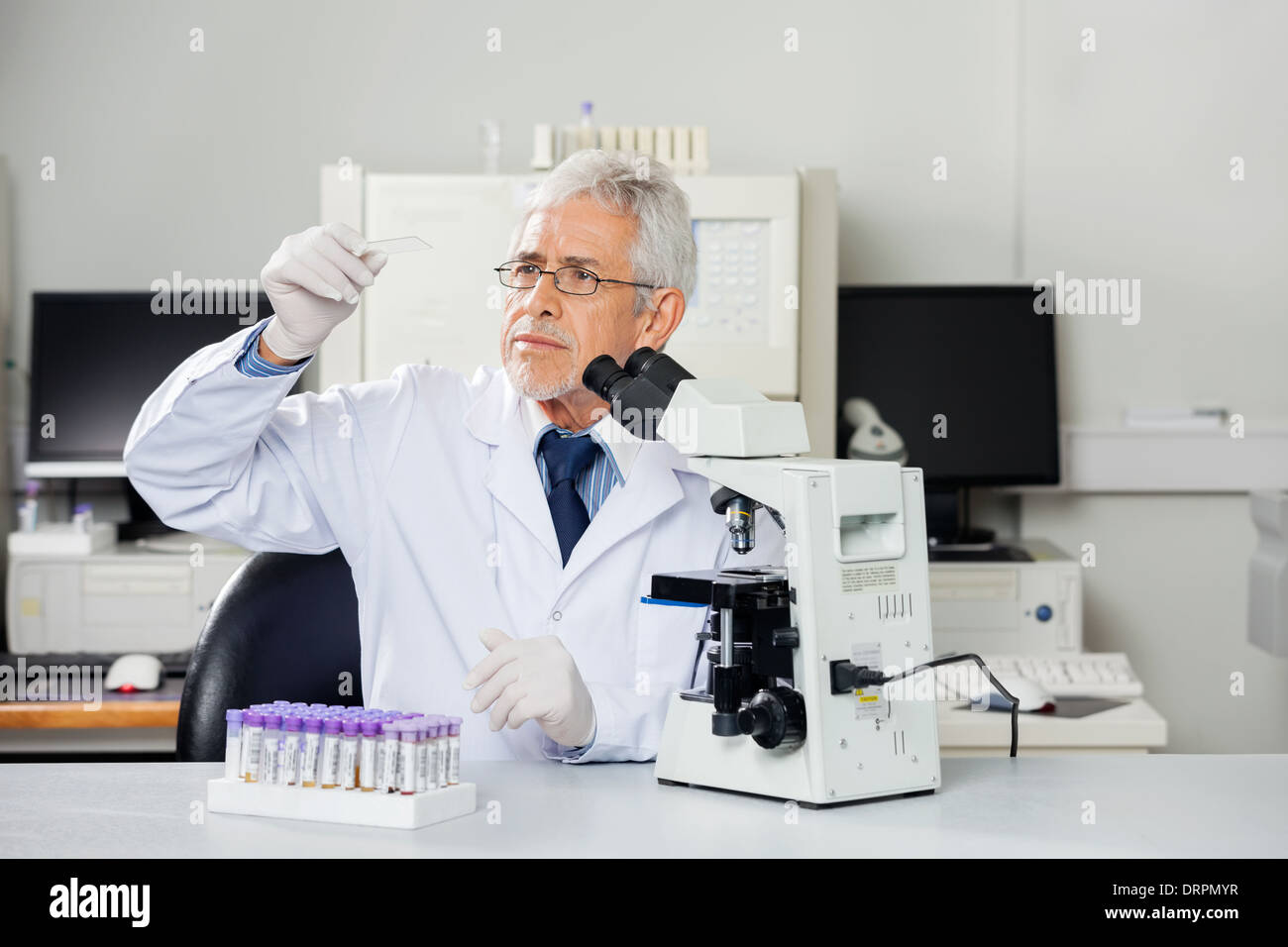 Scientist Examining Microscope Slide In Lab Stock Photo - Alamy