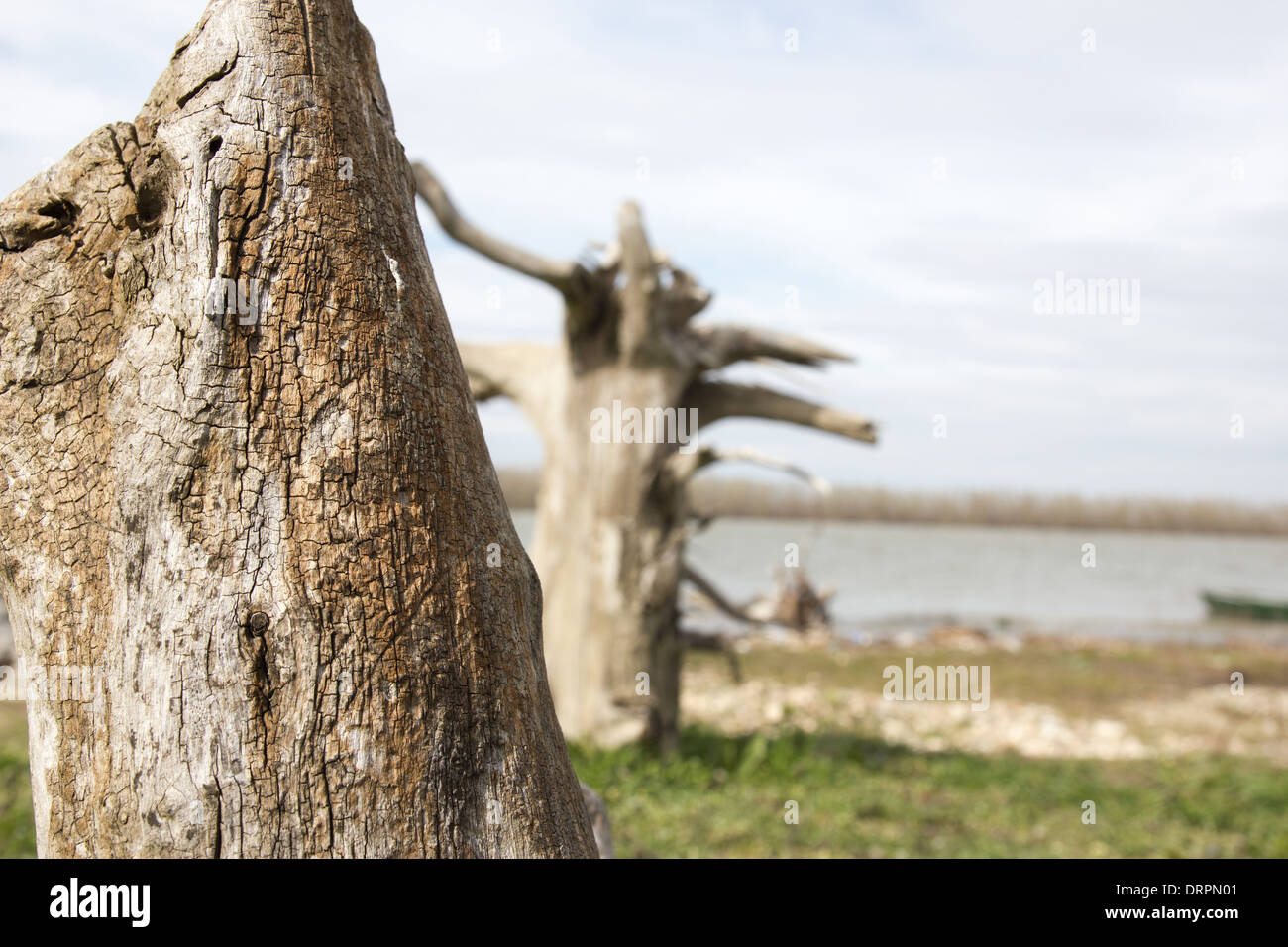 Old pier stumps hi-res stock photography and images - Alamy