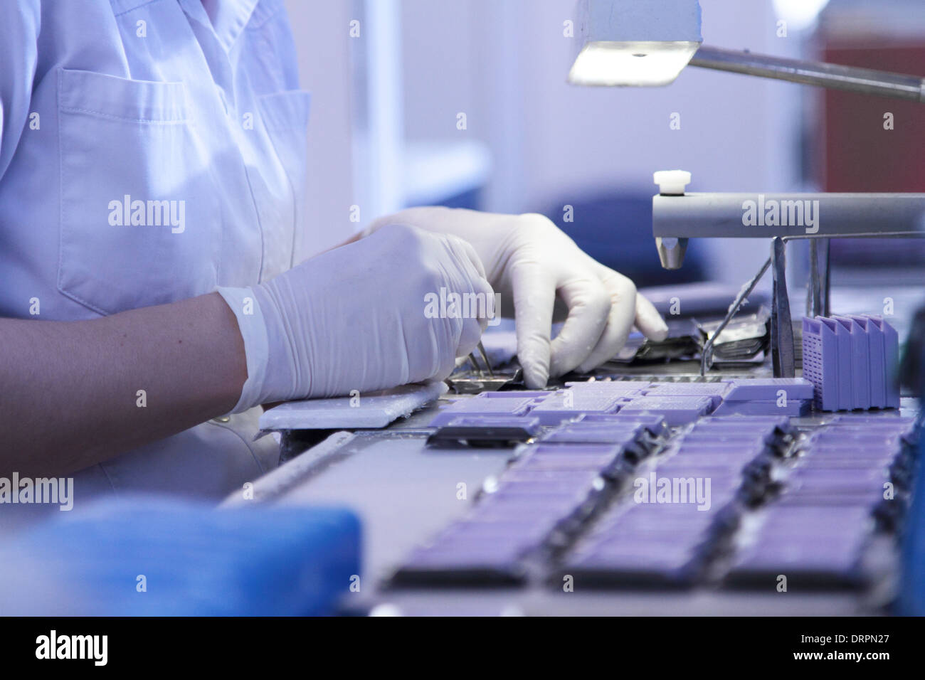 glass slides with rack in a histology labor Stock Photo - Alamy