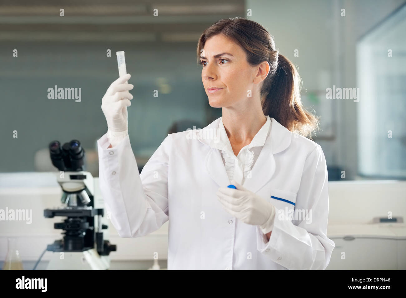 Scientist Examining Sample In Test Tube Stock Photo - Alamy