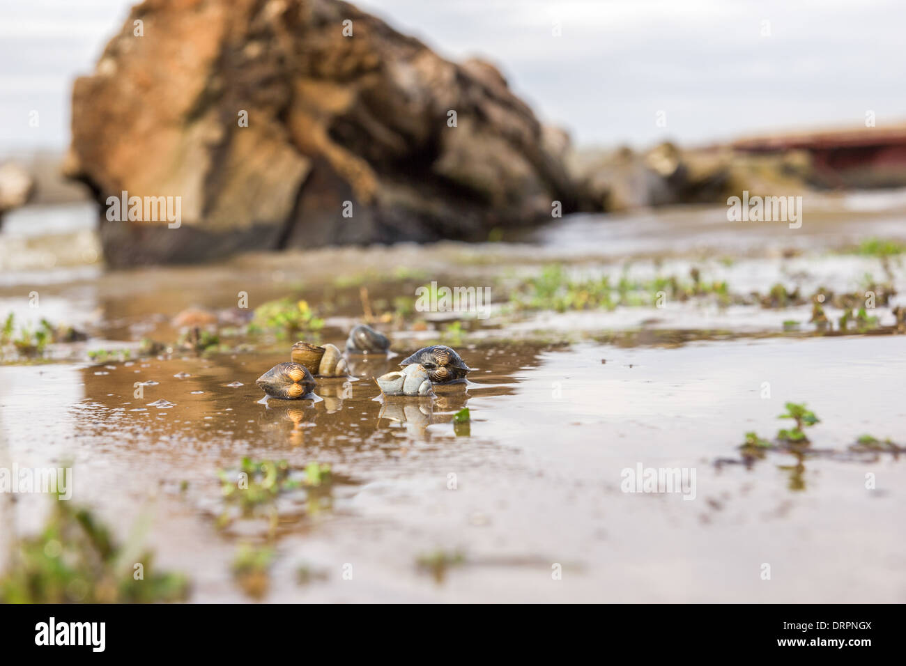 Next to nature art hi-res stock photography and images - Alamy