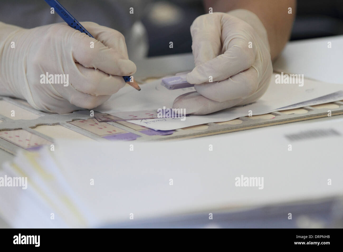 controlling the samples in a histology or pathology labor Stock Photo ...