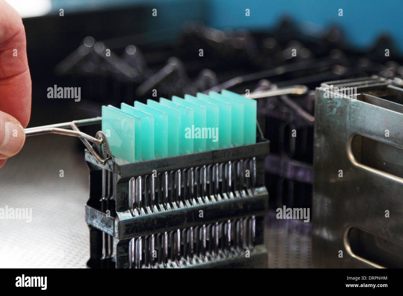 glass slides with rack in a histology labor Stock Photo - Alamy