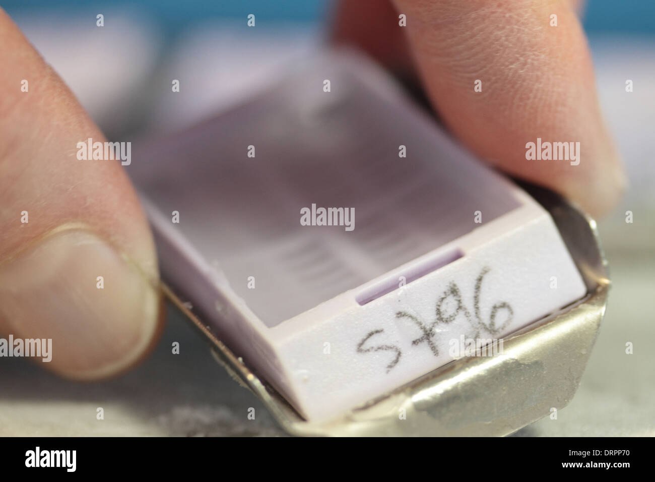 typical work steps in a histology labor Stock Photo - Alamy