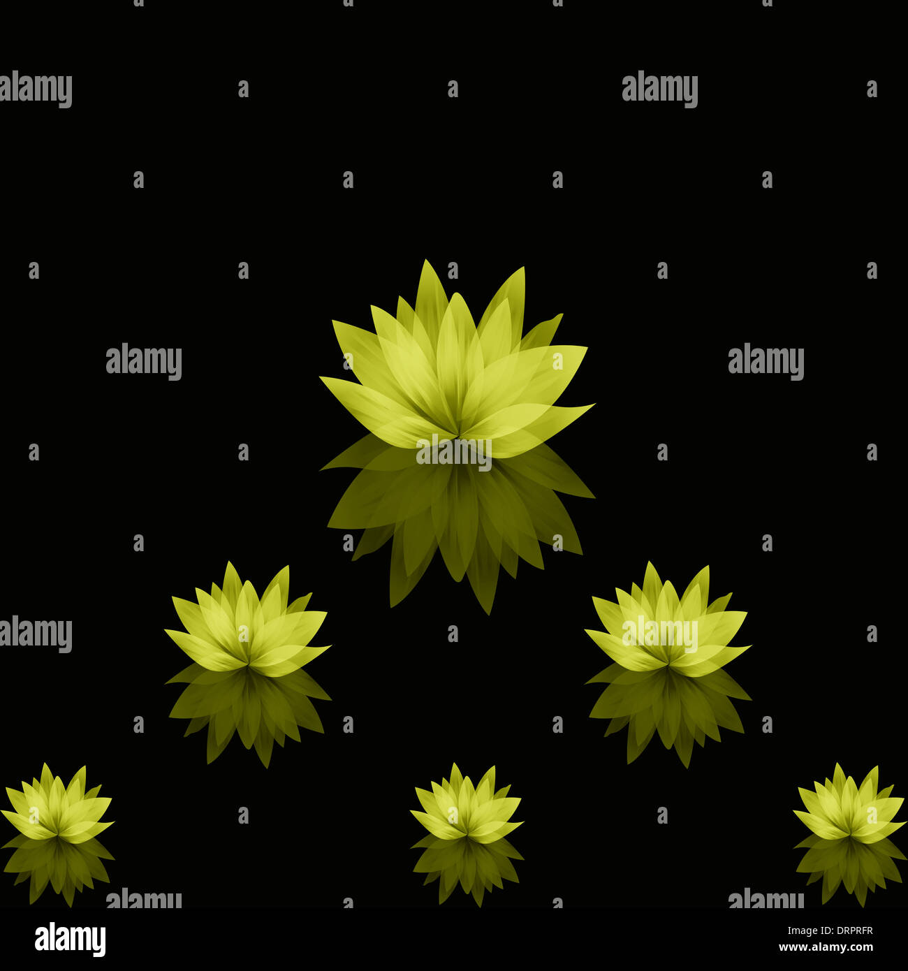 Abstract lotus pattern hi-res stock photography and images - Alamy