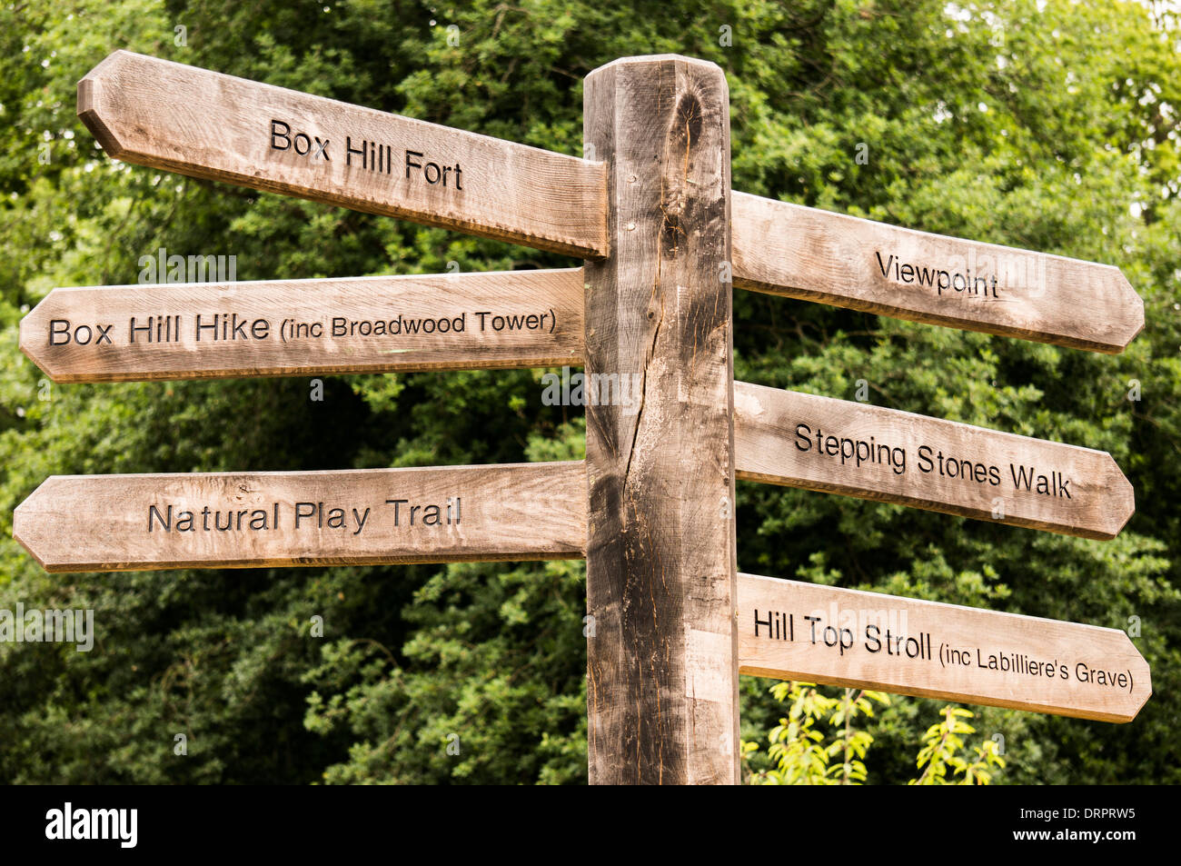 A wooden visitor signpost to various areas of Box Hill, Surrey, Englanf ...
