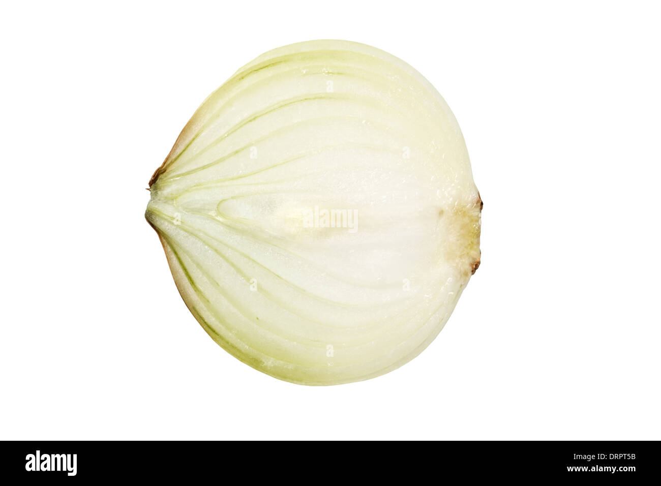 Photo of an onion Cut Out Stock Images & Pictures - Alamy