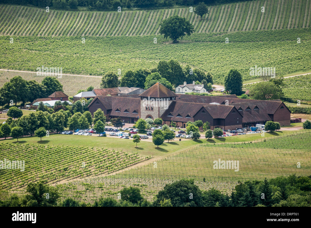 Denbies winery hi-res stock photography and images - Alamy