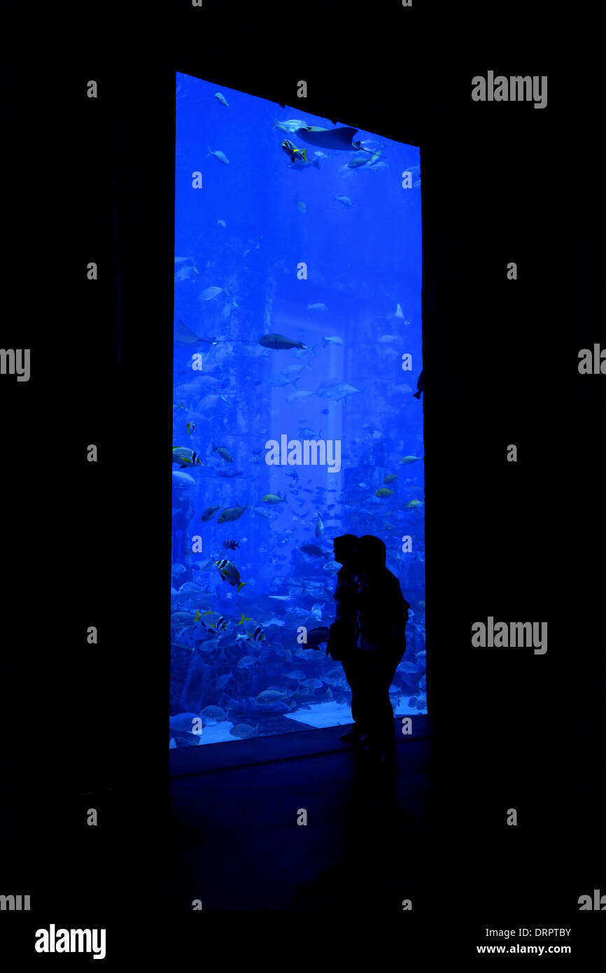 Aquarium scenery hi-res stock photography and images - Alamy