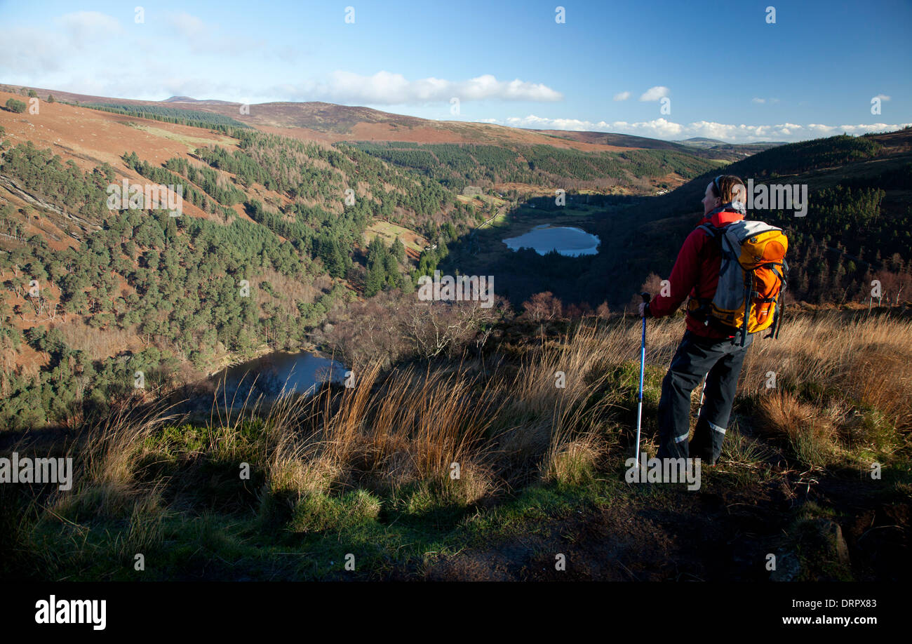 Spinc walk hi-res stock photography and images - Alamy