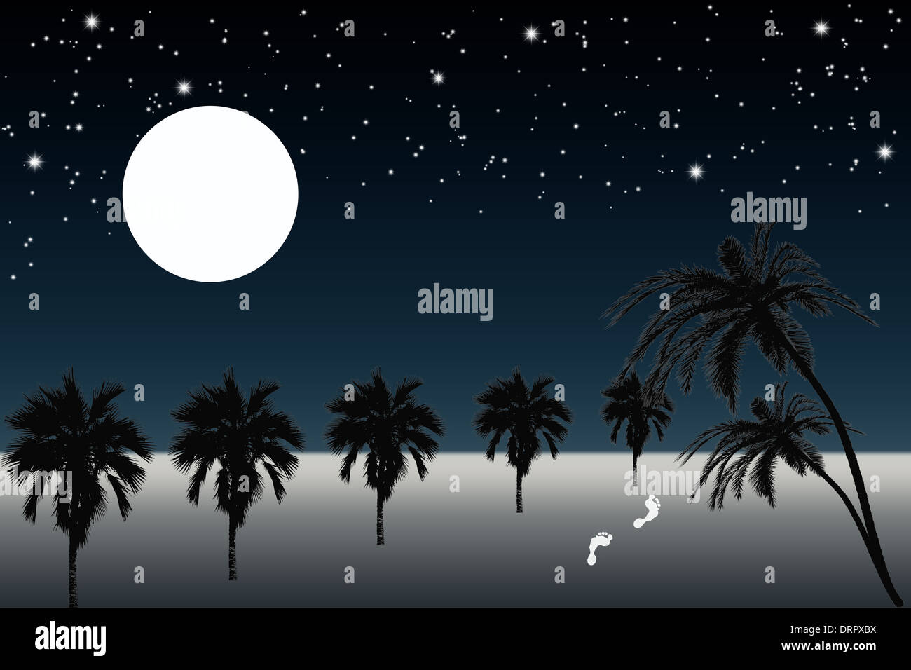 Palm trees and full moon night Stock Photo - Alamy