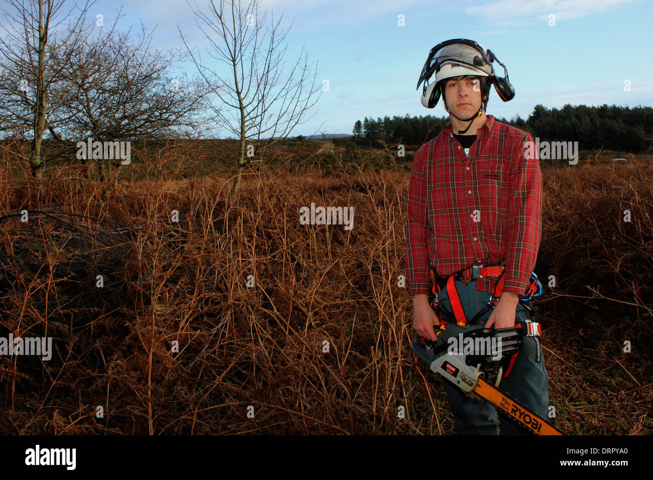 Charlie Webber Tree Surgery Stock Photo - Alamy