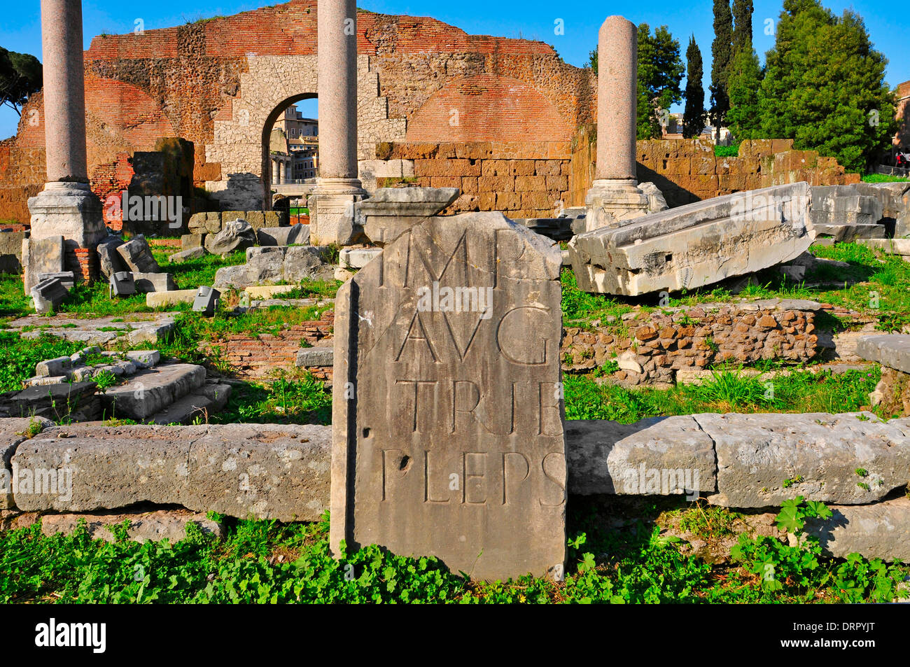 Fulvia roman hi-res stock photography and images - Alamy