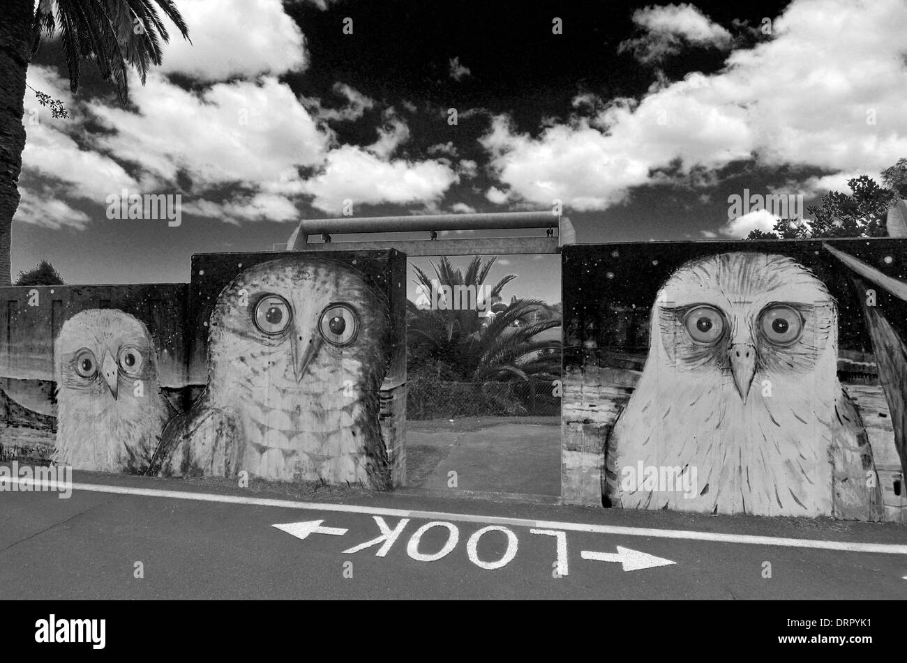 animal and bird and owl mural on concrete flood protection wall in ...