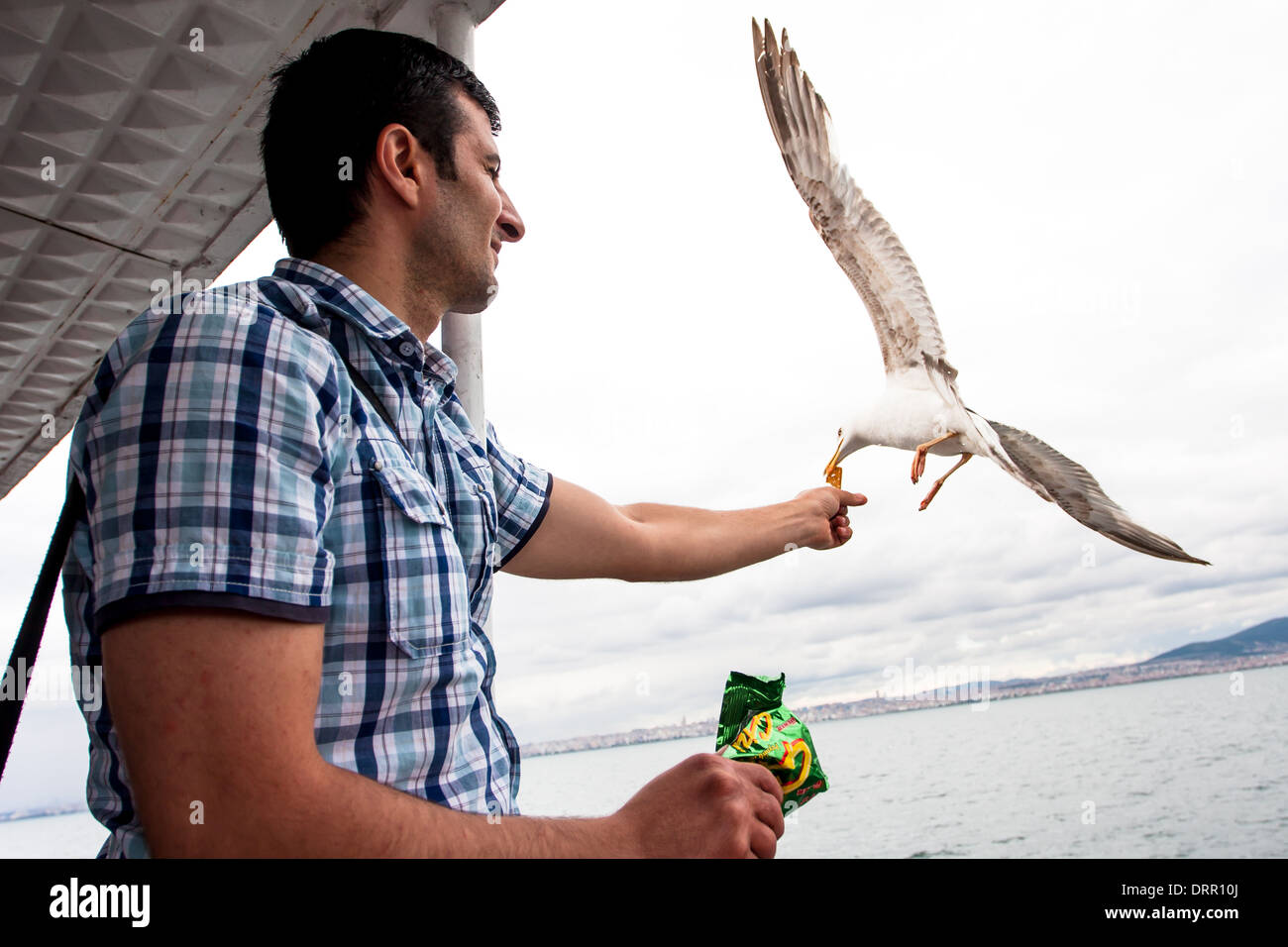 sea, gull, seagull, steamer Bosphorus, Istanbul, Turkey, wings, sky ...