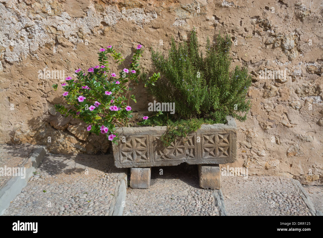 Decorative Mediterranean pottery with purple flowers in Mallorca ...