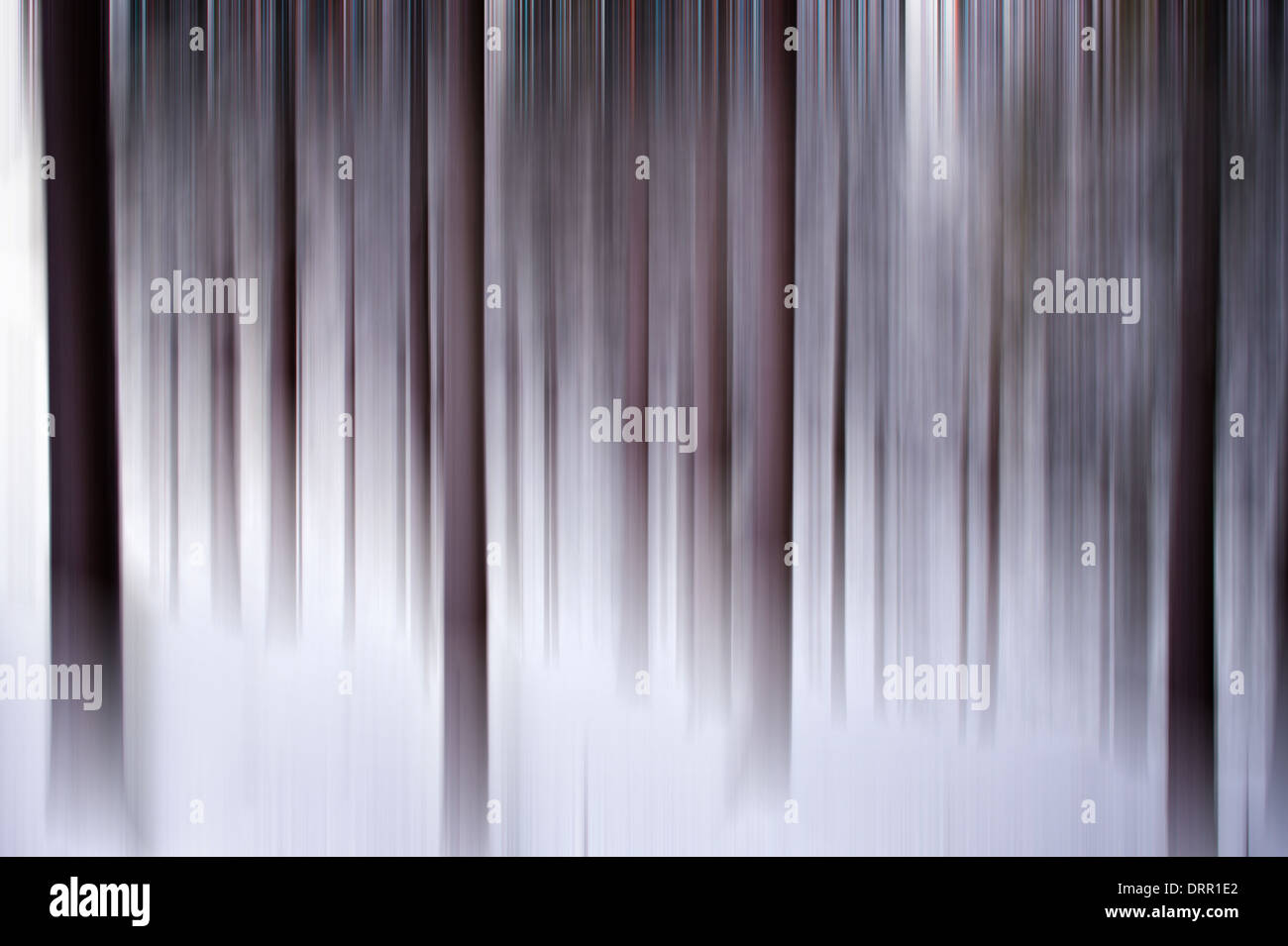 Blurred forest scene hi-res stock photography and images - Alamy