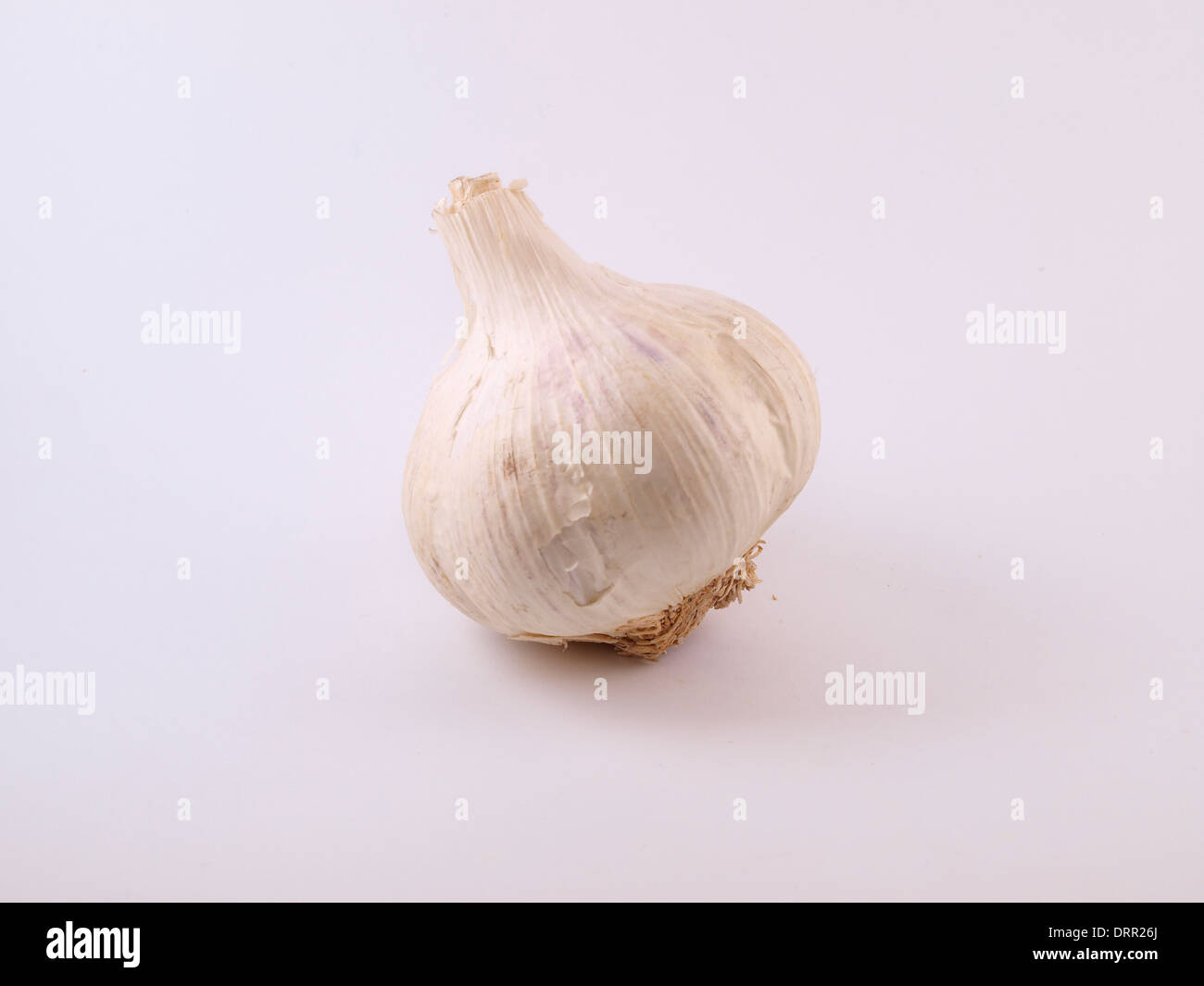 Garlic white background Stock Photo - Alamy