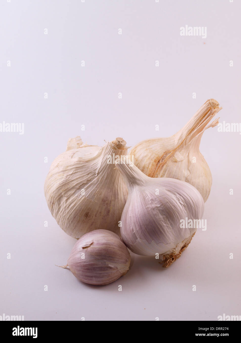 Garlic white background Stock Photo - Alamy