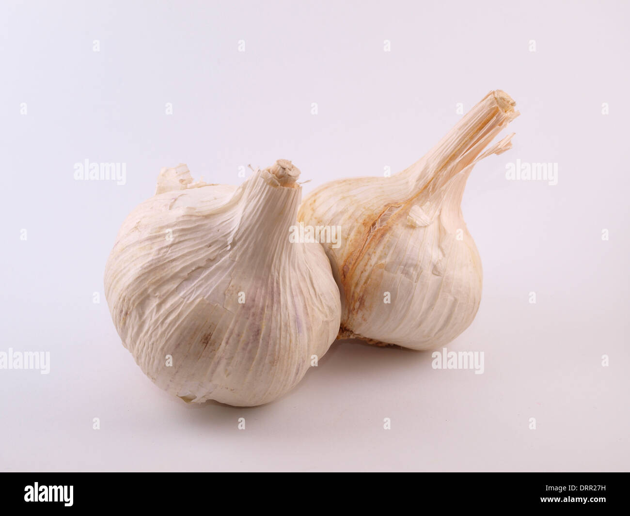 Garlic white background Stock Photo - Alamy