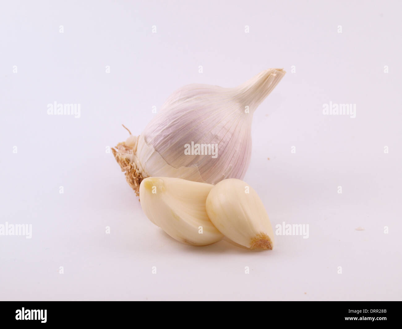 Garlic white background Stock Photo - Alamy