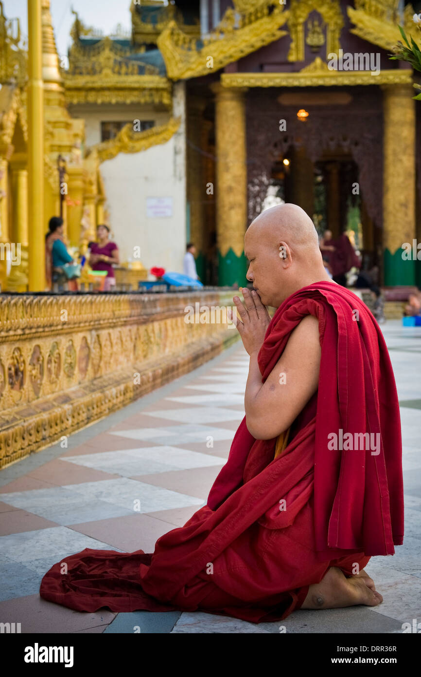 Myanmar, Yangon, Shwedagon Paya, monk Stock Photo - Alamy