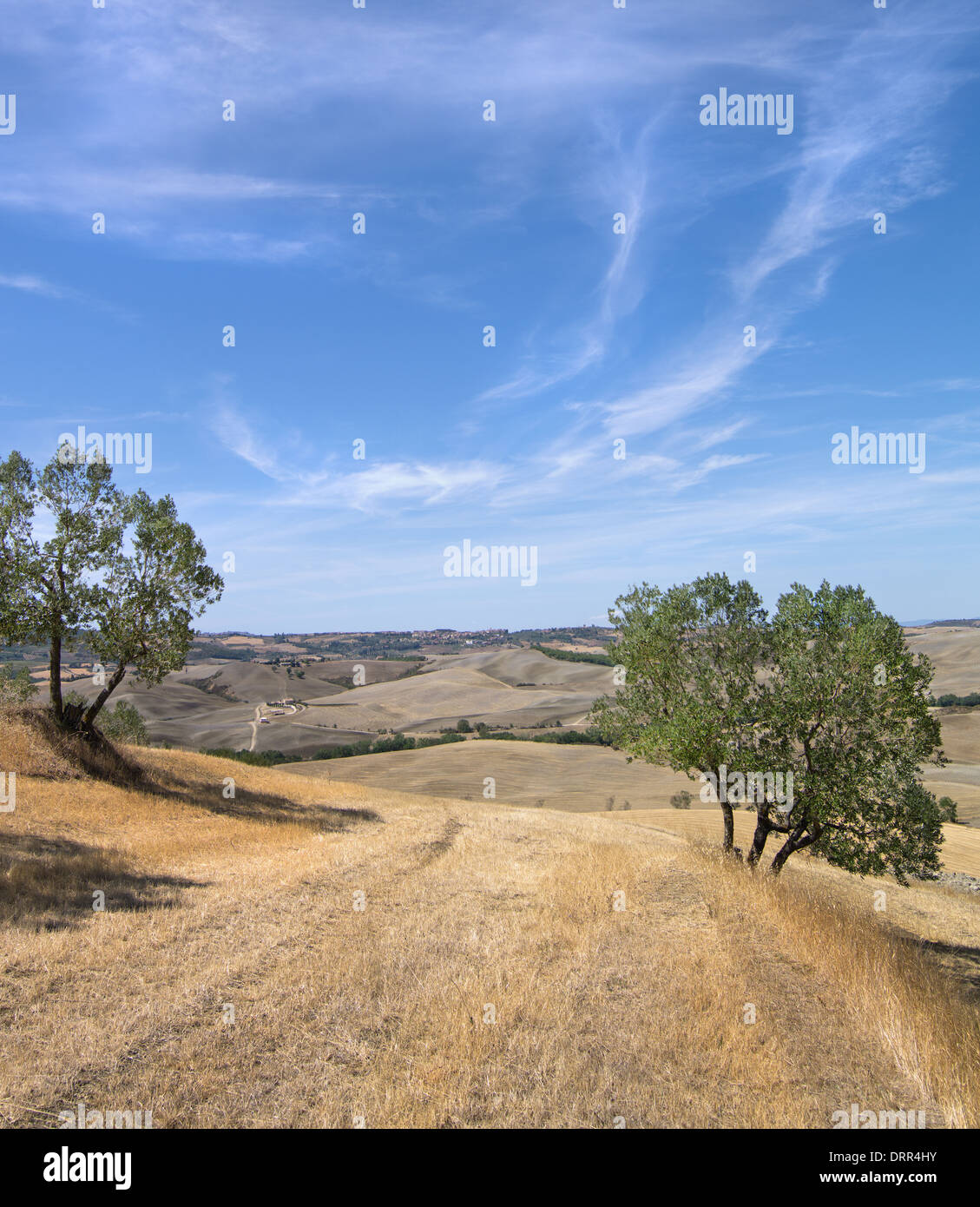 Italy, views of the Tuscan valley Stock Photo - Alamy