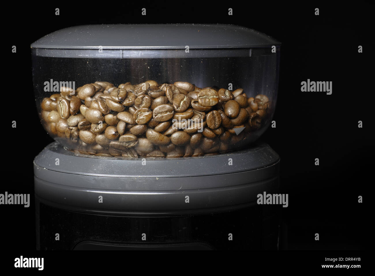 A multitude of similar shape and sized beans in a coffee grinder Stock ...