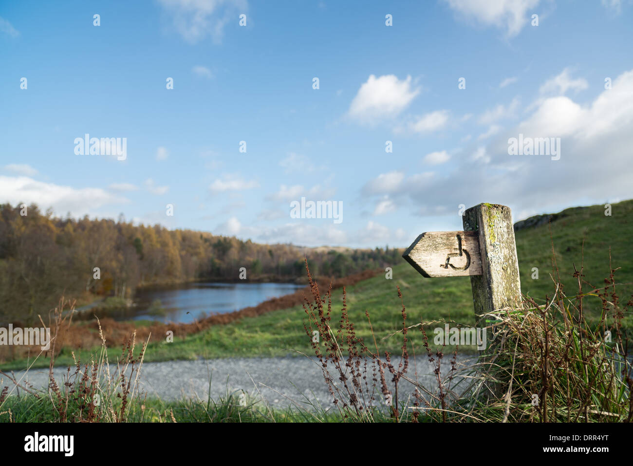 Sign post indicating the path which can be used by disabled people in ...