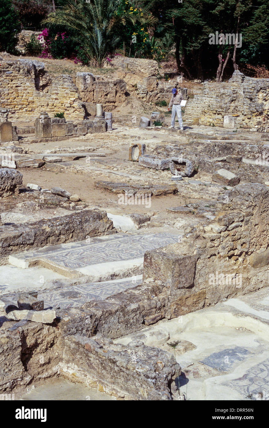 Tunisia Mosaic Roman Carthage High Resolution Stock Photography and ...
