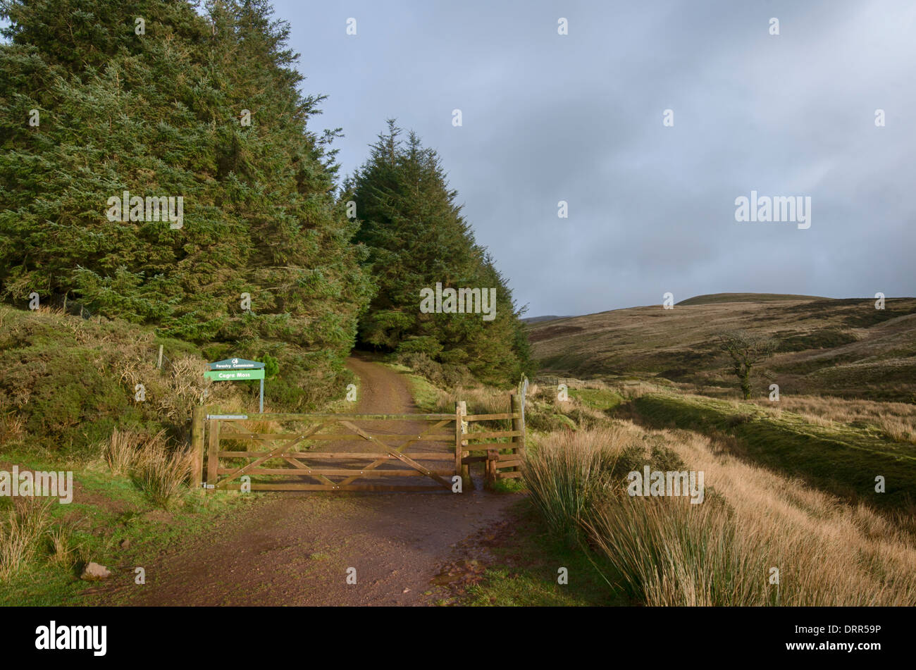 Walk sunny cloudy path gate outdoors hi-res stock photography and ...
