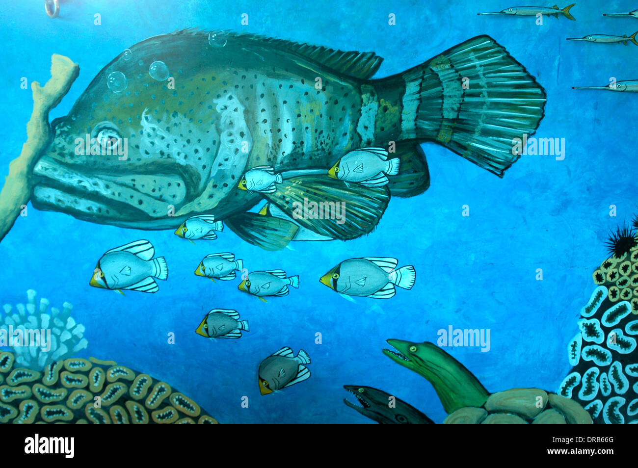 A graffiti showing fish in a seascape decorates a wall in Coro ...
