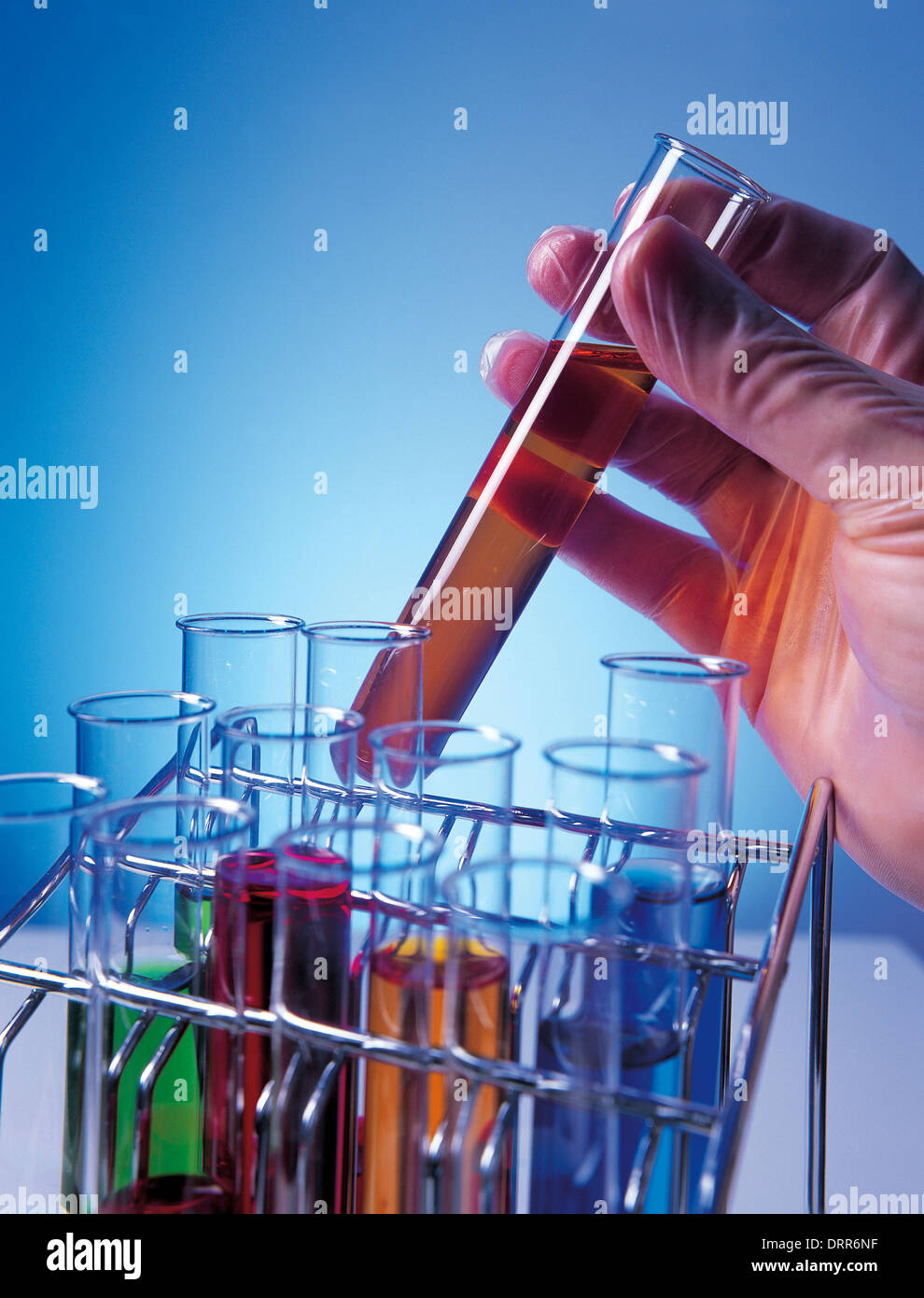 Gloved Hand holding test tube Stock Photo - Alamy