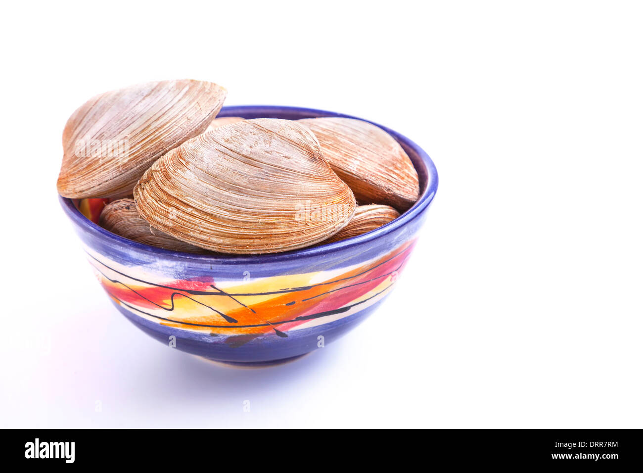 A variety of clams called bar clams on a white background Stock Photo ...
