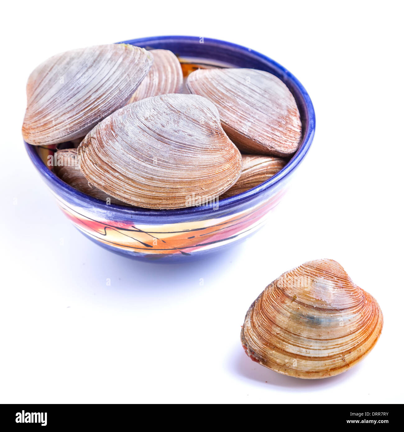 Steamers clams hi-res stock photography and images - Alamy