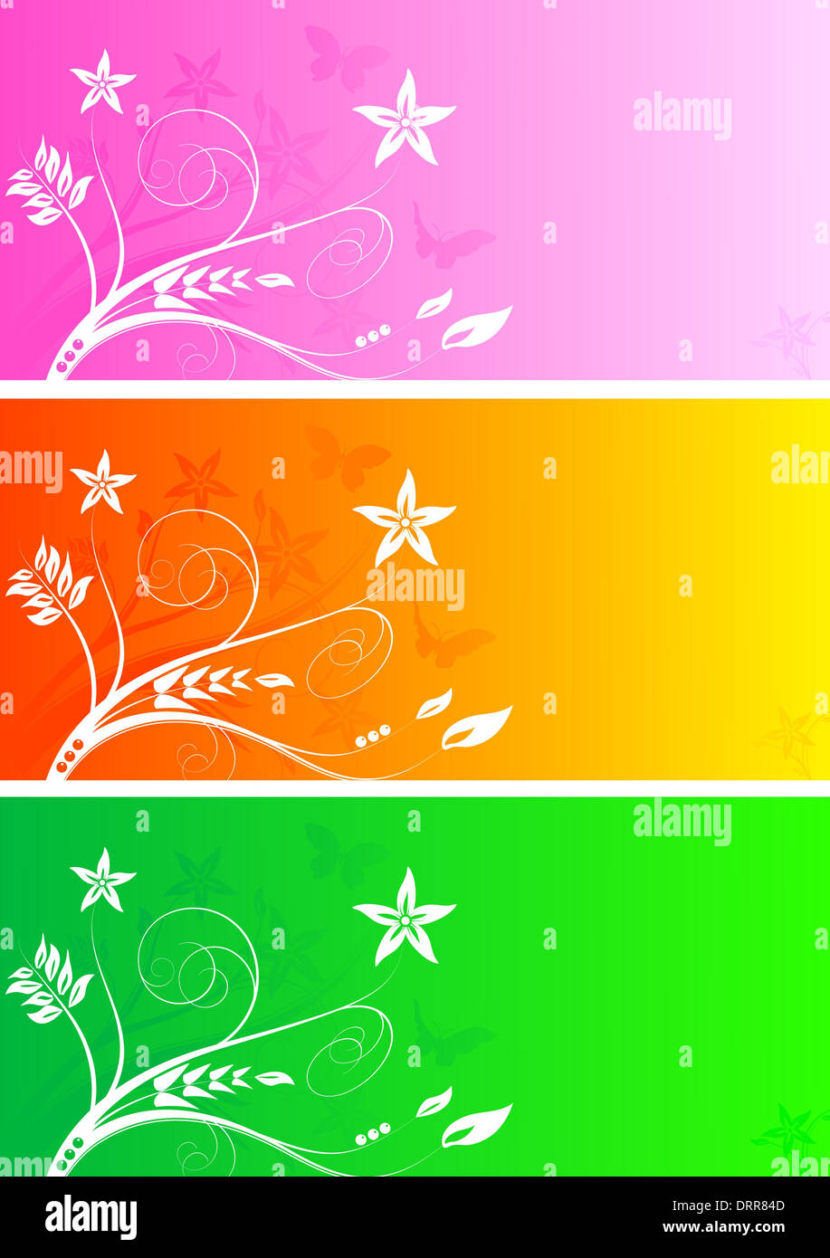 Set of three colourful bright floral banners Stock Photo - Alamy