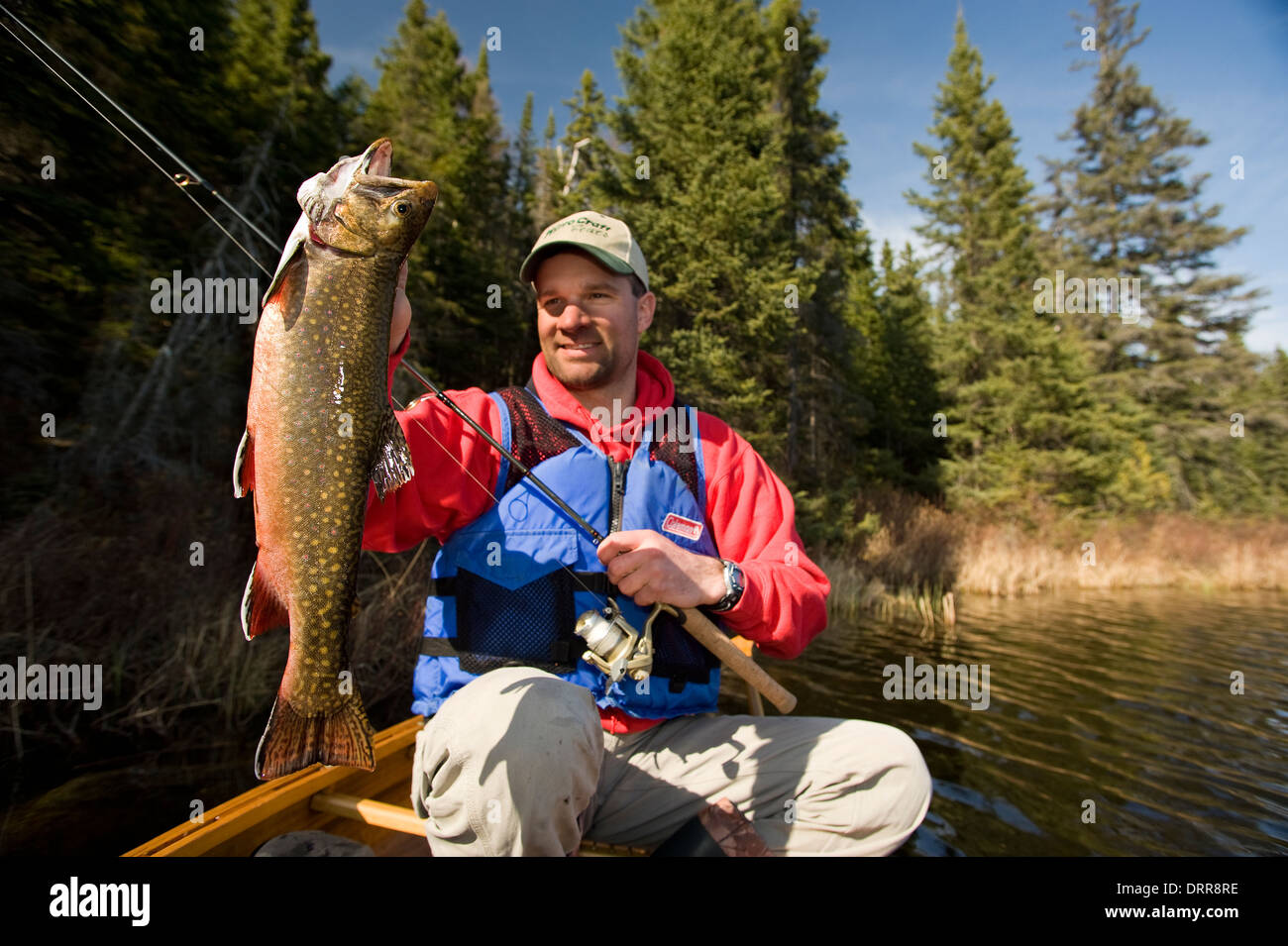 Fisherman holding a huge summer brook trout he caught from his canoe in ...