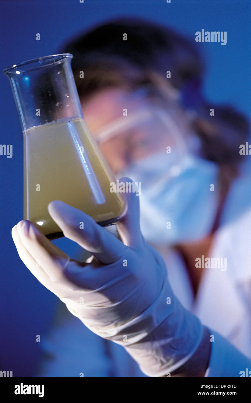 Checking water sample hi-res stock photography and images - Alamy