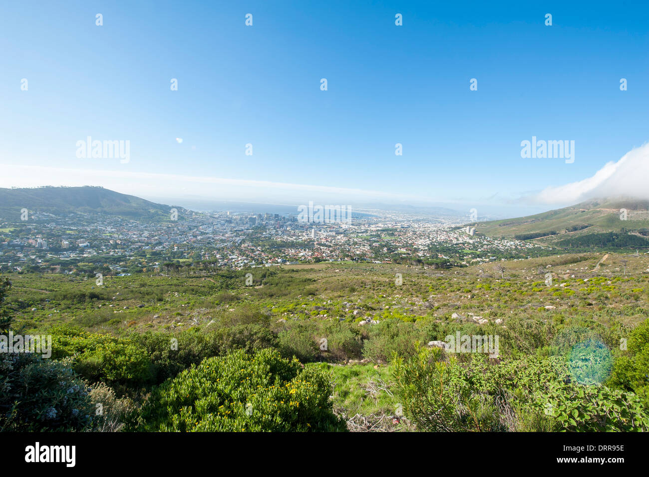 Landscape-, underwater-, offshore-, wildlife photographer based in the ...