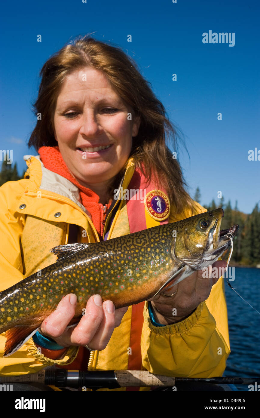Woman angler holding a summer brook trout she caught in a lake in ...