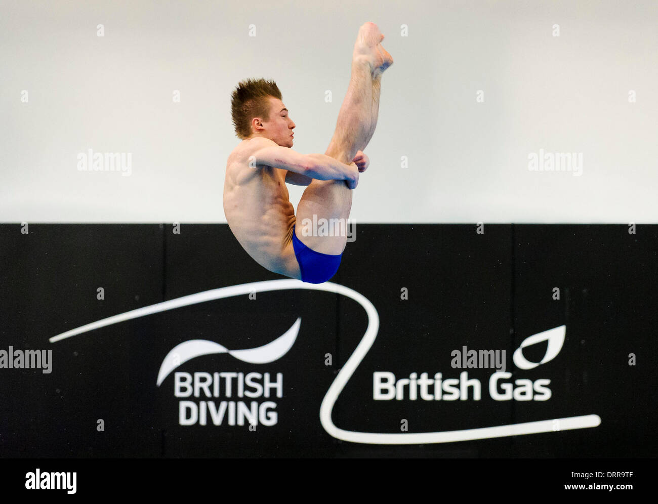 Mens 1m Springboard Preliminary High Resolution Stock Photography and ...