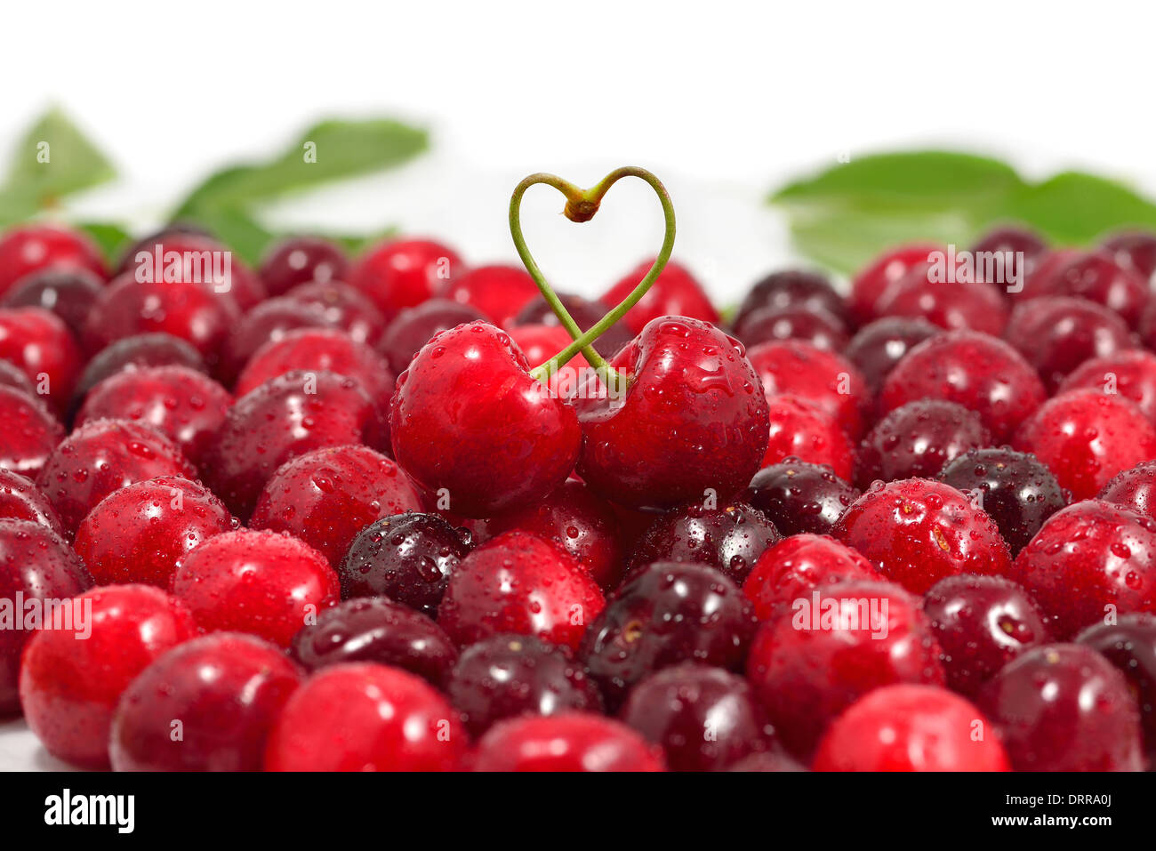 Cherry love on white background Stock Photo - Alamy
