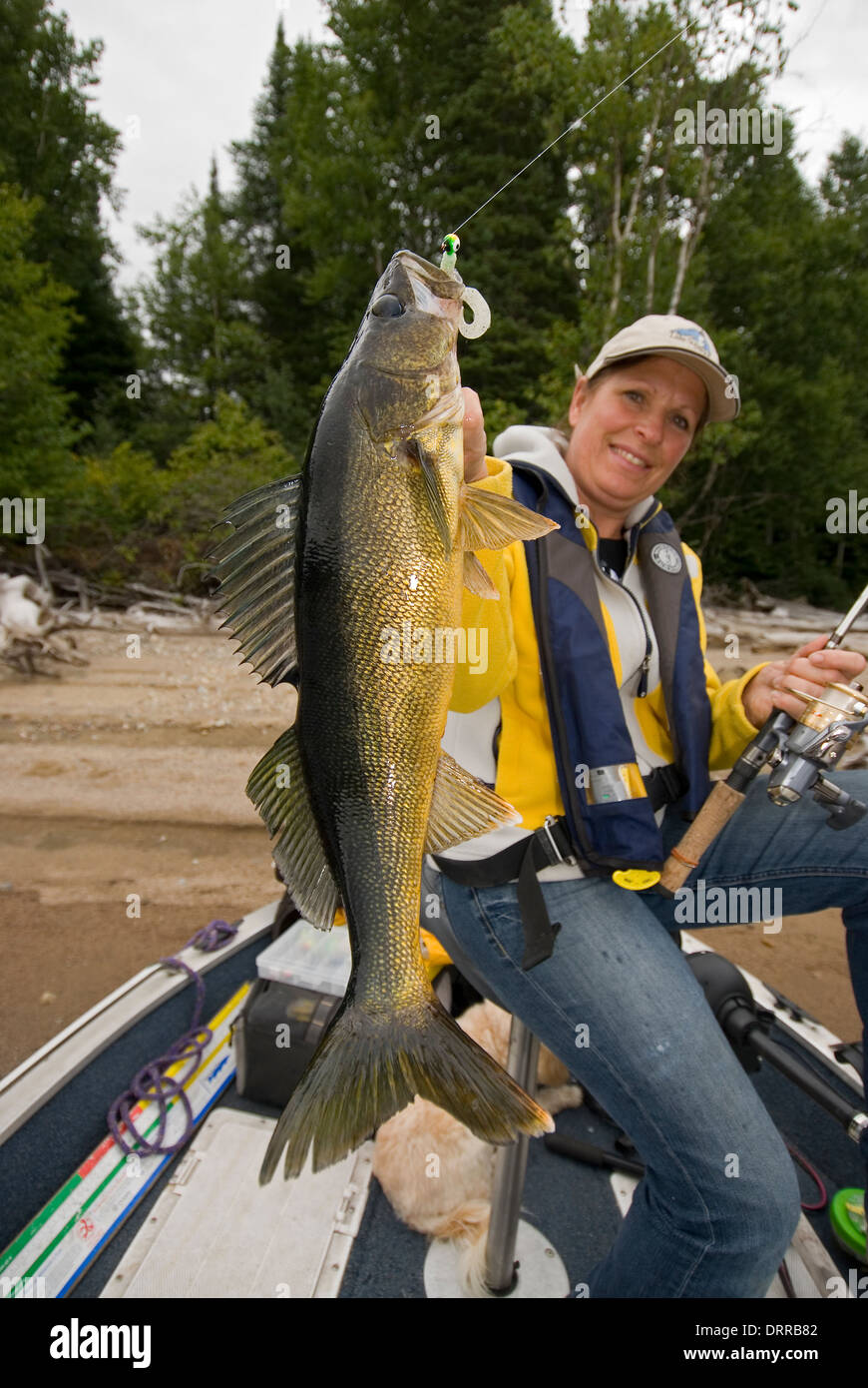 Woman angler holding the summer walleye she caught in Northern Ontario ...