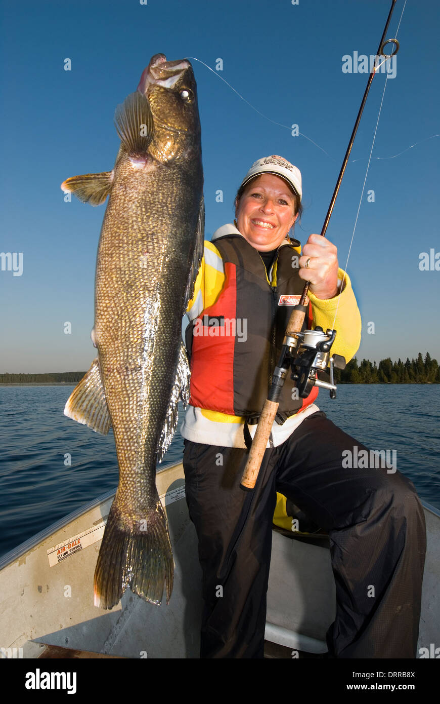 Woman angler holding the summer walleye she caught in Northern Ontario ...