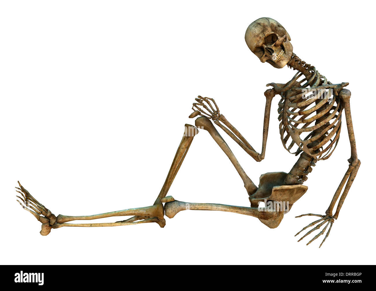 3D digital render of an old human sitting and smiling skeleton isolated ...
